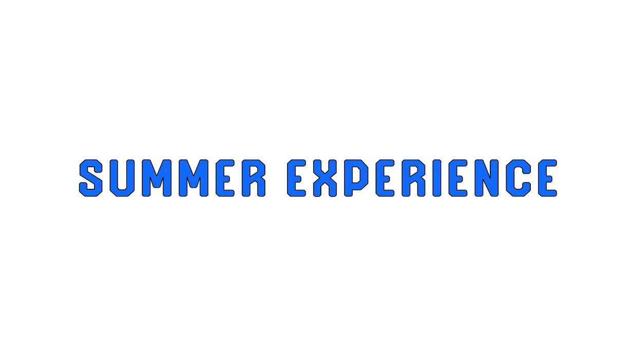 Apto - Summer Experience
